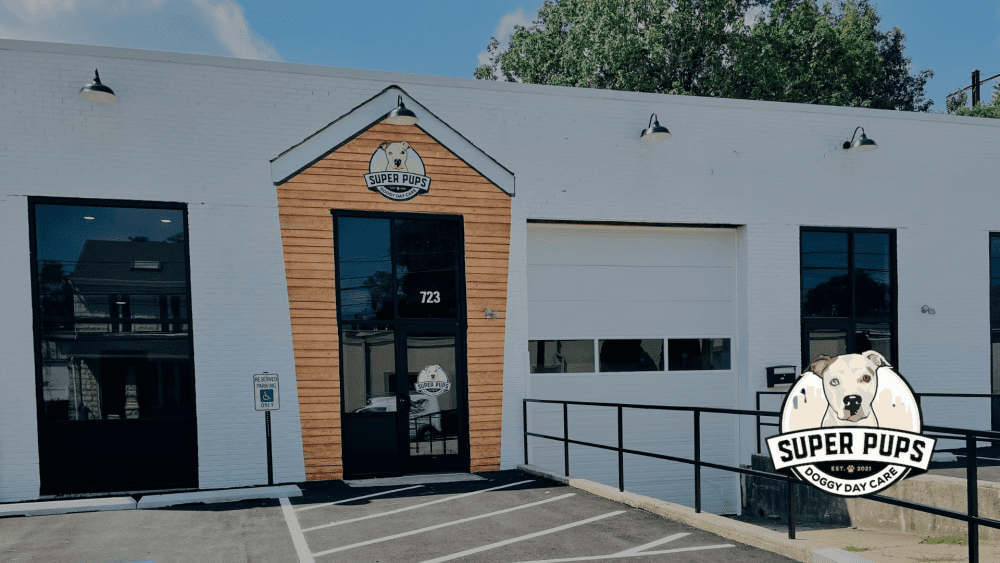 Super Pups Daycare FAQs | Super Pups Daycare