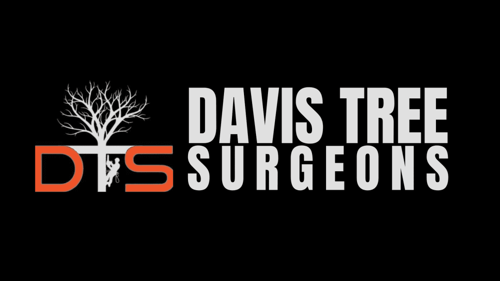Davis Tree Surgeons | Winston-Salem, NC Tree Services