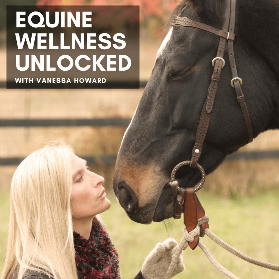 Navigating the Emotional Landscape: Understanding Horse Behavior Beyond the Basics | Creekside ...