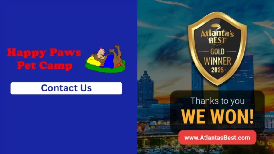 Contact Us by Phone, Text, or Email | Happy Paws Pet Camp
