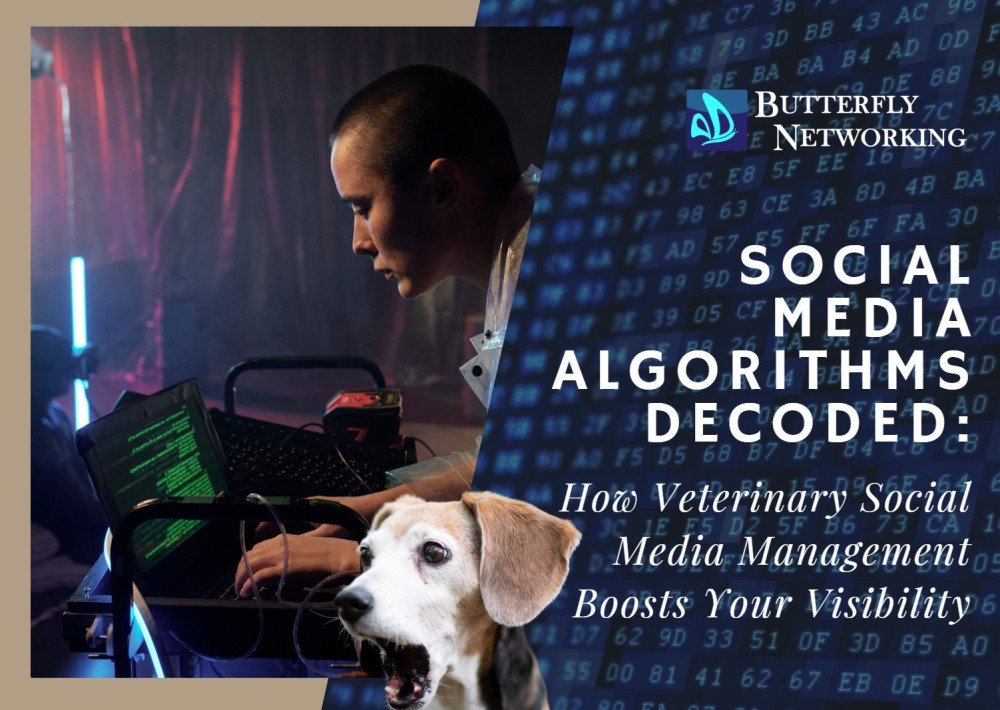 Social Media Algorithms Decoded: How Veterinary Social Media Management ...