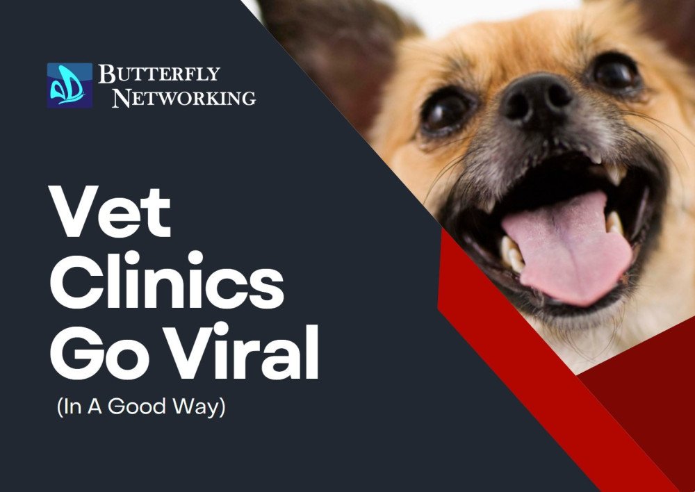 How Social Media Marketing Can Help Your Vet Clinic Go Viral (In a Good ...
