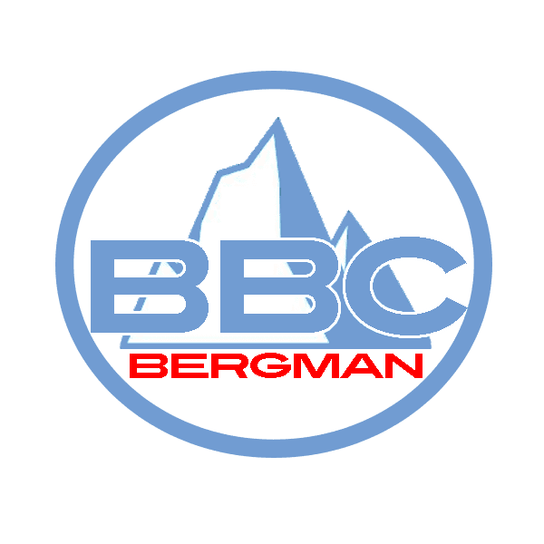 🗻 Bergman Business Consulting